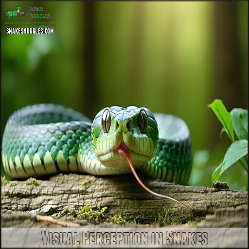 Can Snakes Recognize Owners? The Surprising Truth Revealed!