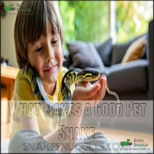 Pet Snakes 101: Top 8 Beginner-Friendly Breeds to Own Now!