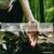 Snake Wrapping and Handling: Safe Practices to Avoid Bites and Stress