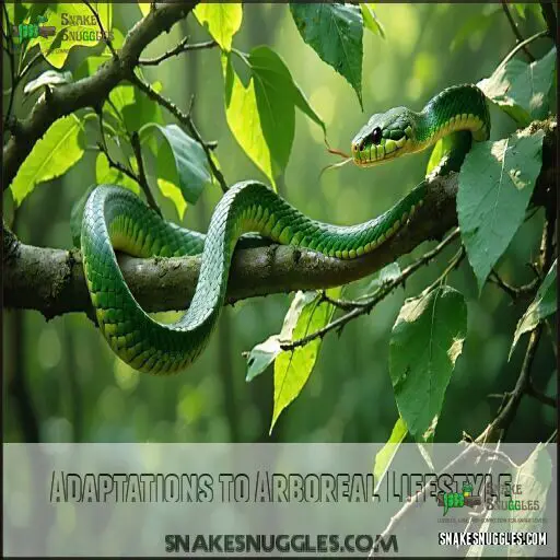 Rough Green Snake: Care, Habitat, Diet, Lifespan & Fascinating Facts