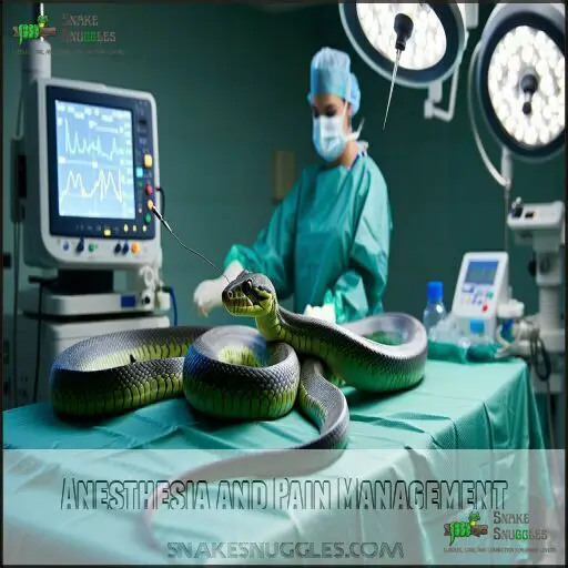 What Happens When You Defang a Snake? Risks, Ethics, and Care Explained