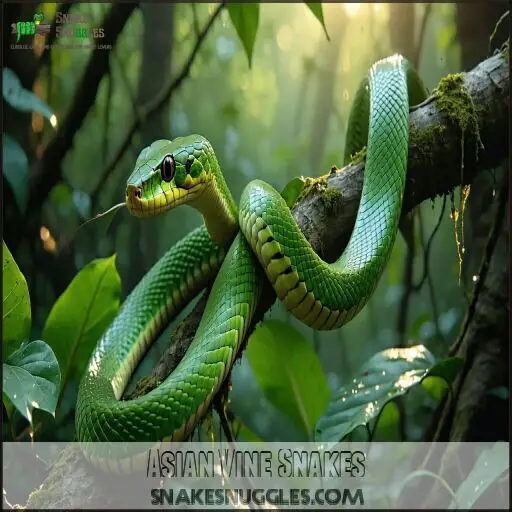 Are There Vegetarian Snakes? The Surprising Truth About Plant-Eating ...