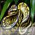 Bumblebee Ball Python Genetics: Morph Traits, Care, and Breeding Info