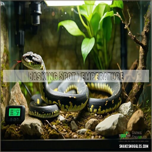 Corn Snake Temperature Gradient Guide: Ideal Temps & Heating Tips