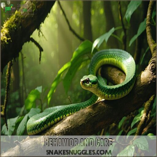 Rough Green Snake: Care, Habitat, Diet, Lifespan & Fascinating Facts