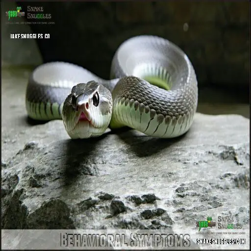 Snake Mites: Causes, Signs, Treatment & Prevention Every Keeper Must Know