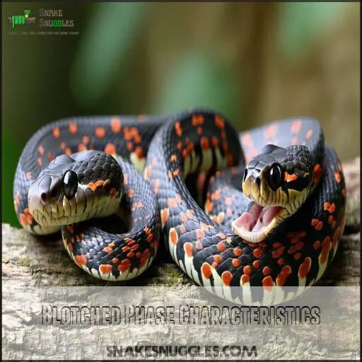 Milk Snake Color Variations Explained: Nature's Deceptive Beauty Patterns