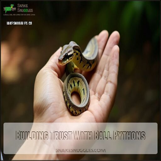 Ball Python Handling Techniques: 8 Essential Tips You Need to Know (2025)
