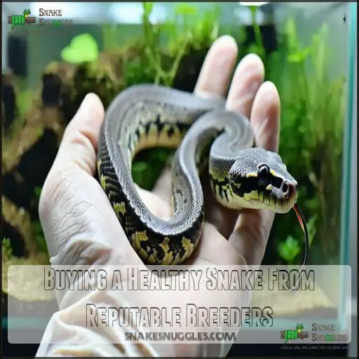 Largest Snake That You Can Own: 5 Giant Species You Won't Believe Are Legal