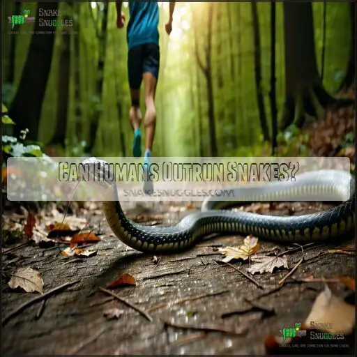 How Fast Can a Snake Slither? The World's Quickest Snakes Revealed!