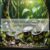 Can Snakes Get Fat? Signs, Risks, and Tips to Keep Your Snake Healthy
