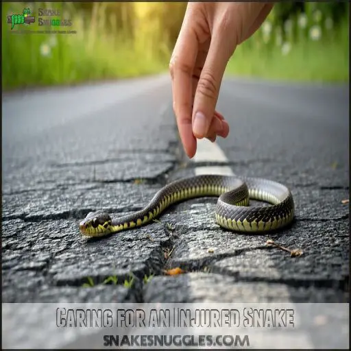 Can a Snake Survive Being Run Over? The Truth Will Shock You!