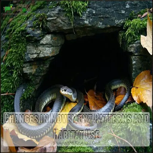 Where Do Snakes Go in The Winter? Secrets of Their Winter Hideouts
