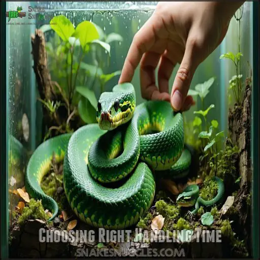 Handling a Stressed Boa Constrictor: 7 Expert Tricks That Actually Work