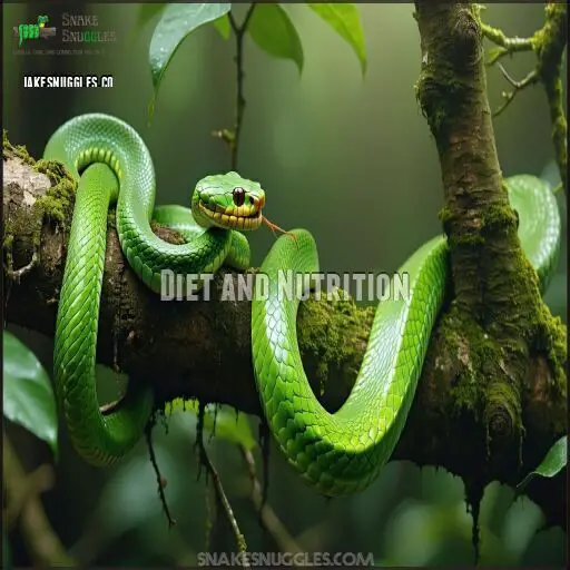 Rough Green Snake: Care, Habitat, Diet, Lifespan & Fascinating Facts