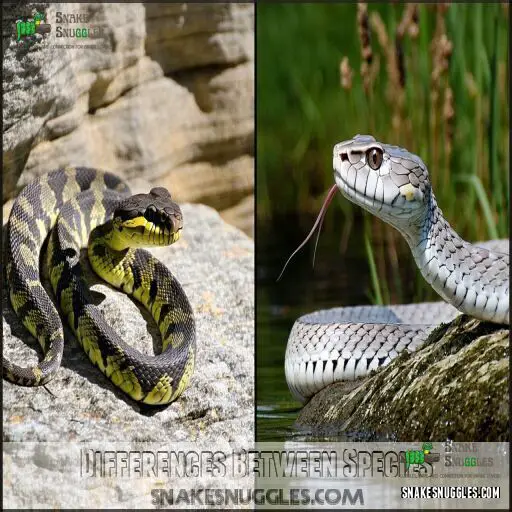 Are There Poisonous Snakes in Wisconsin? Venomous Species & Facts