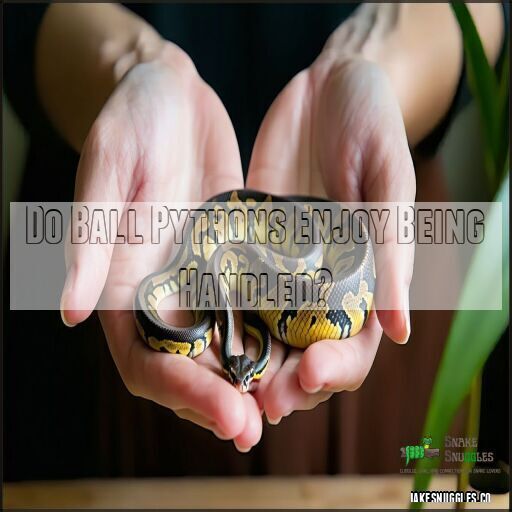 Do Ball Pythons Like Being Handled? Tips for Happy, Stress-Free ...