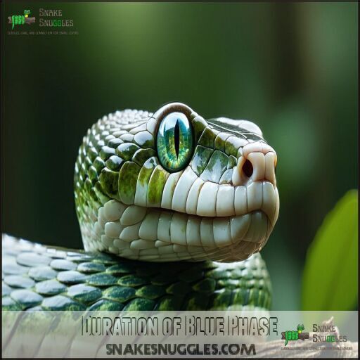 Snakes With Blue Eyes: Stunning Species, Vision, and Rare Beauty