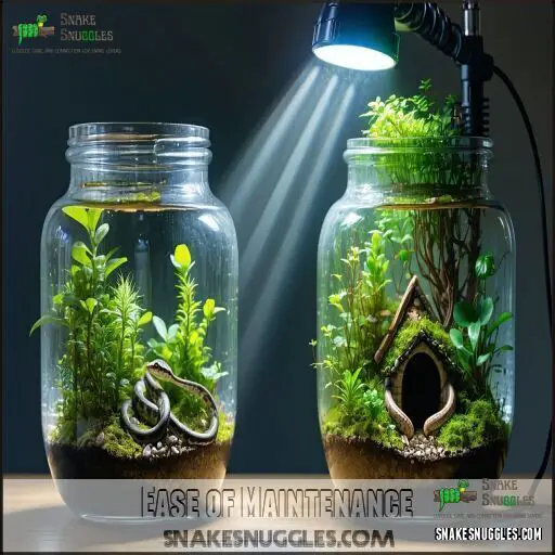 Corn Snake Substrate Options Compared: 7 Best Beddings for 2025!