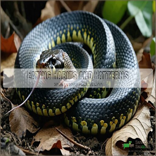 King Snake Diet and Feeding: Essential Nutrition Guide for Healthy Snakes