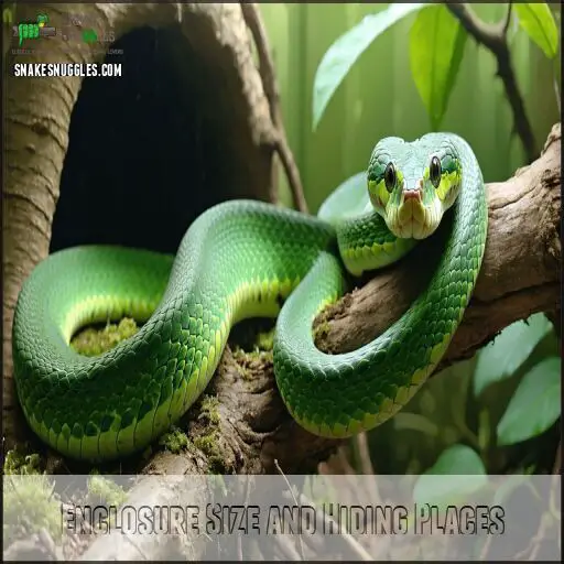 Why is My Snake So Active? Common Causes and What You Should Know