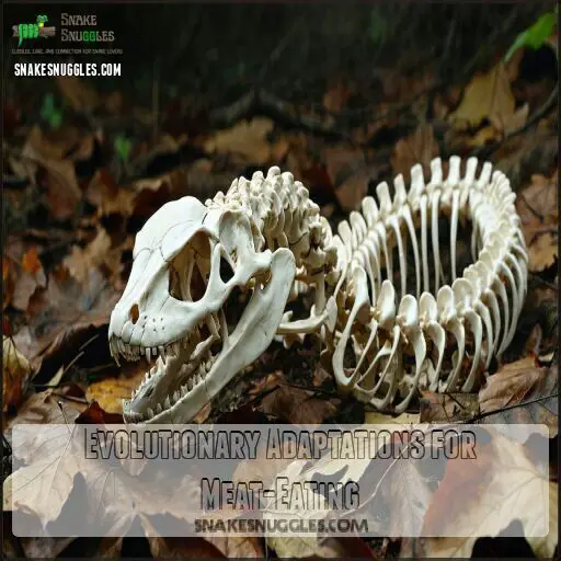 Vegetarian Snakes: Can They Exist or Thrive Without Eating Meat?