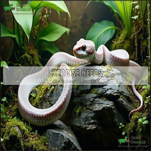 Snow Corn Snake Care: Diet, Size, Habitat, and Unique Traits