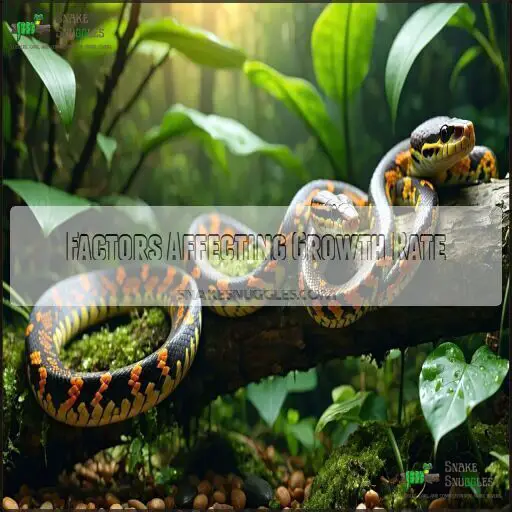 How Big Do Corn Snakes Get? Size, Growth Stages & Care Tips