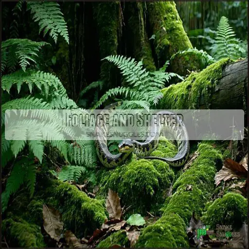 Natural Habitat of Boa Constrictors: 7 Surprising Places They Call Home