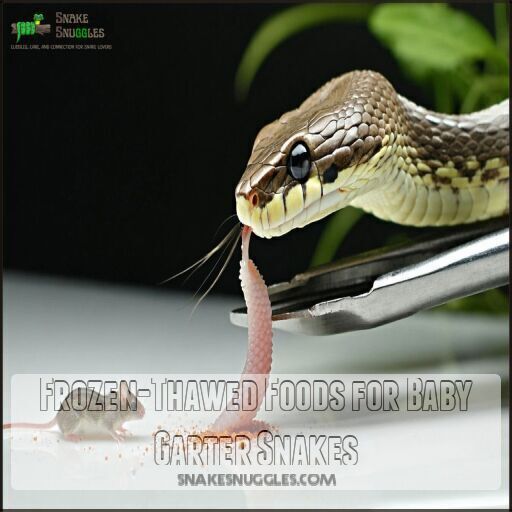 How to Get Baby Garter Snakes to Eat: Expert Tips for Feeding Success