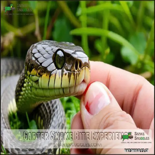 Do Garter Snakes Have Teeth? Yes, and What Happens When They Bite You!
