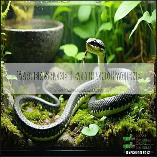 Garter Snake Pet Care: Feeding, Habitat, and Long-Term Health Tips