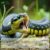 Does a Garter Snake Have Teeth? The Shocking Truth Will Make You Shiver!