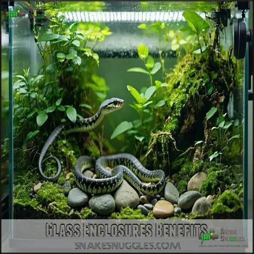 Garter Snake Habitat Setup Ideas: Enclosure Tips for Happy Snakes