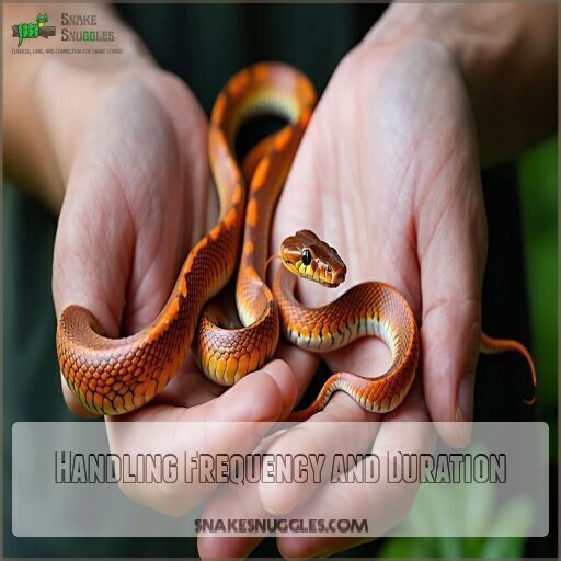 Corn Snake Handling for Kids: 10 Safe & Easy Tips Every Parent Needs