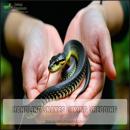 Safe Snake Shedding Home Remedies Revealed