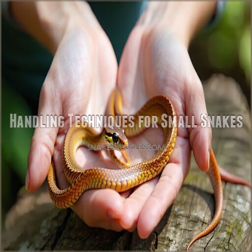 Small Pet Snakes That Stay Small: Top Species and Care Guide