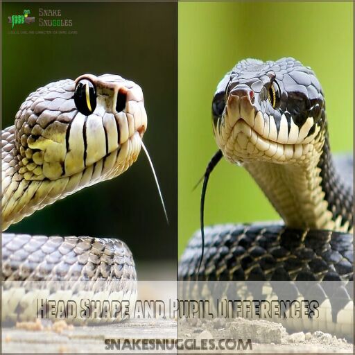 Gopher Snake Vs Bull Snake: 7 Shocking Differences You Never Knew!