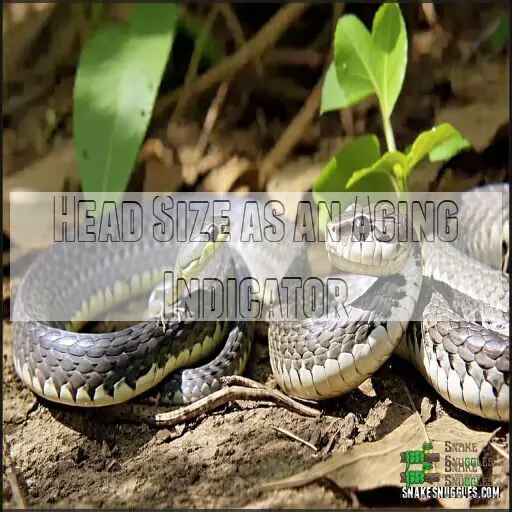 How Can You Tell How Old a Snake Is? 7 Expert Methods Revealed!