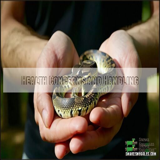 Do Ball Pythons Make Good Pets? Pros, Cons, and Essential Care Tips