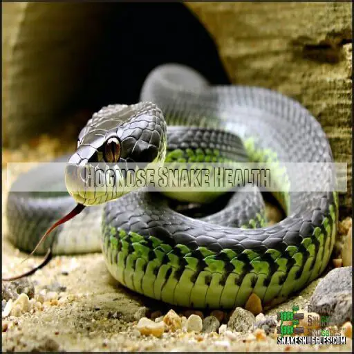 Hognose Snake Care Guide: Tips for a Happy and Healthy Pet Snake