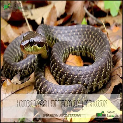 What a Copperhead Snake Looks Like: 7 Key Features for Quick Identification