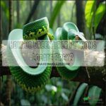 What Do Green Tree Pythons Eat? Surprising Diet of These Emerald Hunters