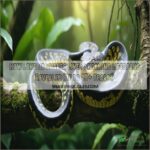 How Long Do Snakes Live? Shocking Lifespans Revealed (Up to 40+ Years!)