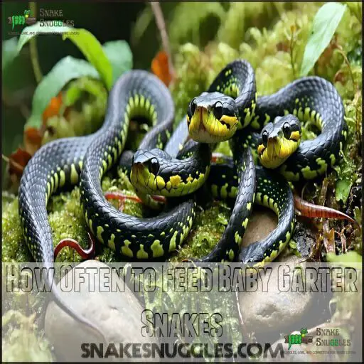 How to Get Baby Garter Snakes to Eat: Expert Tips for Feeding Success