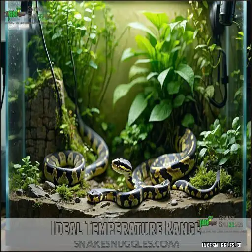 Ball Python Temperature Gradient Guide: Perfect Heating & Care Tips