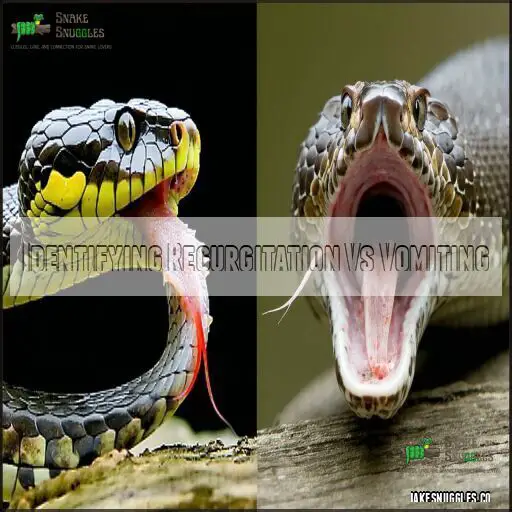 How to Handle Regurgitation in Snakes: Causes, Care, and Prevention