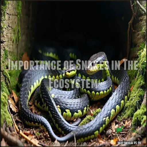 Where Do Snakes Go in The Winter? Secrets of Their Winter Hideouts