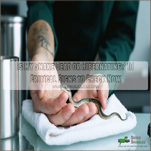 Is My Snake Dead or Hibernating? 10 Critical Signs to Check Now