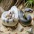 Kenyan Sand Boa Care: Appearance, Diet, Lifespan, Tank Setup & More